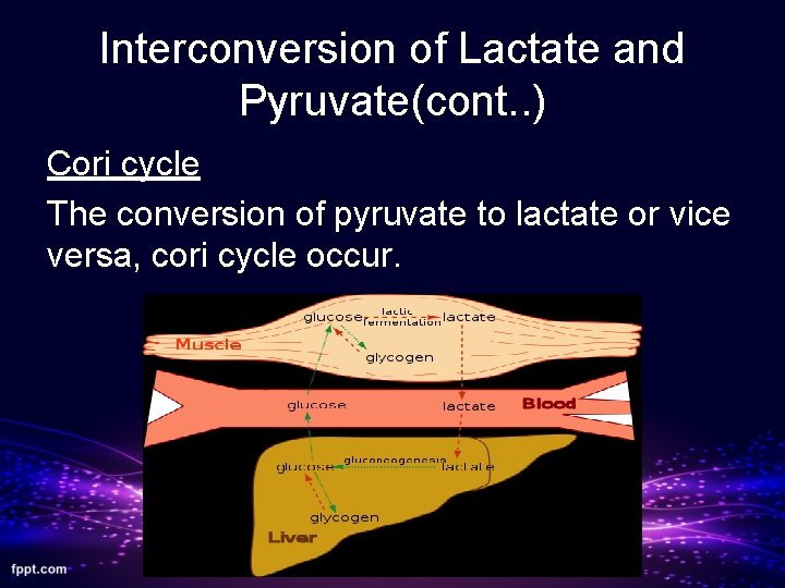 SCL SBP 3201 BASIC MEDICAL BIOCHEMISTRY NAME MATRICS