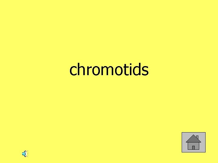 Cell Processes Jeopardy Test Review Game Photosynthesis Respiration