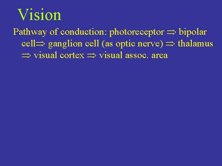 Vision Sense organs eye Receptor cell photoreceptor Receptor