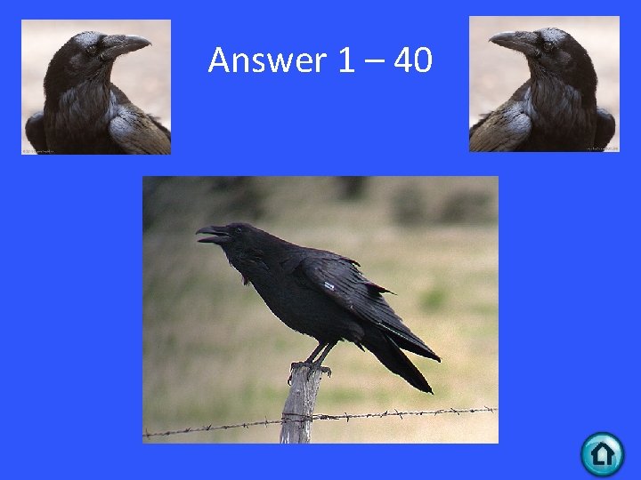 ANIMAL FARM EDITION Name the Species Plot Commandments