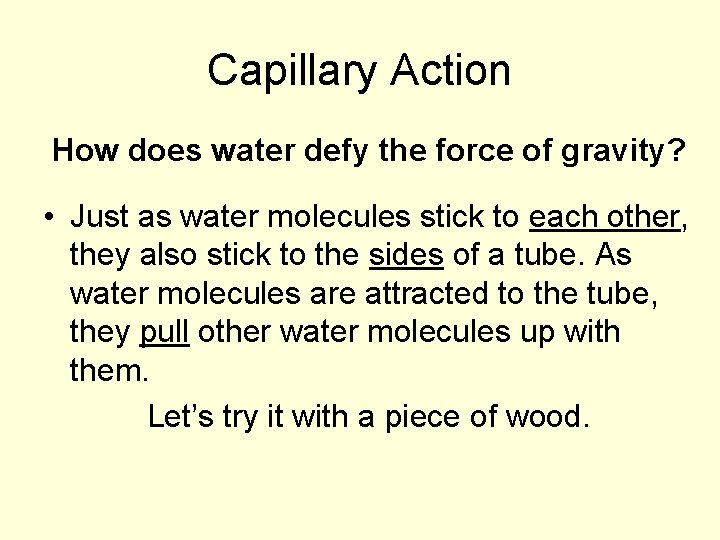 Surface Tension Capillary Action Surface Tension Surface tension