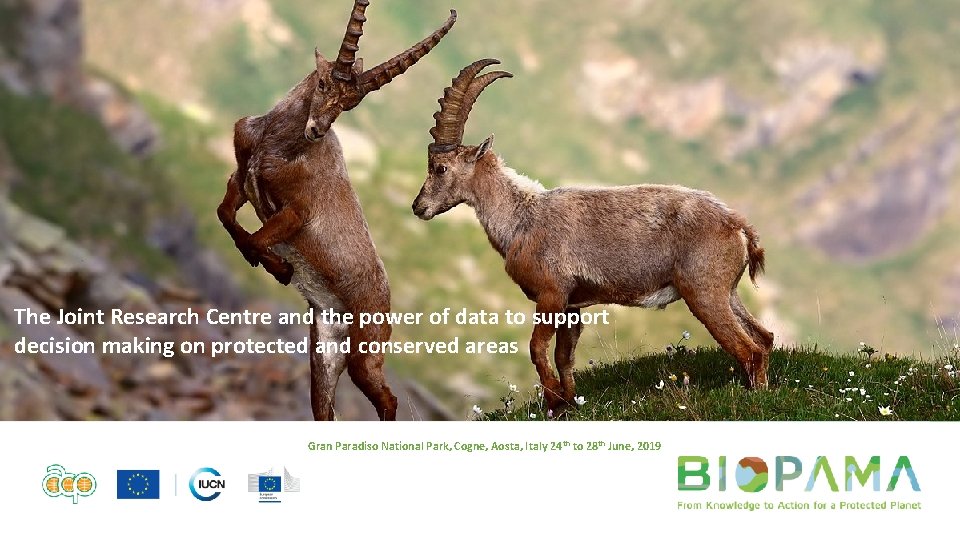 The Joint Research Centre and the power of