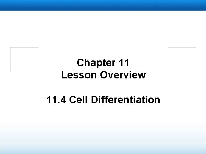 Chapter 11 Lesson Overview 11 4 Cell Differentiation