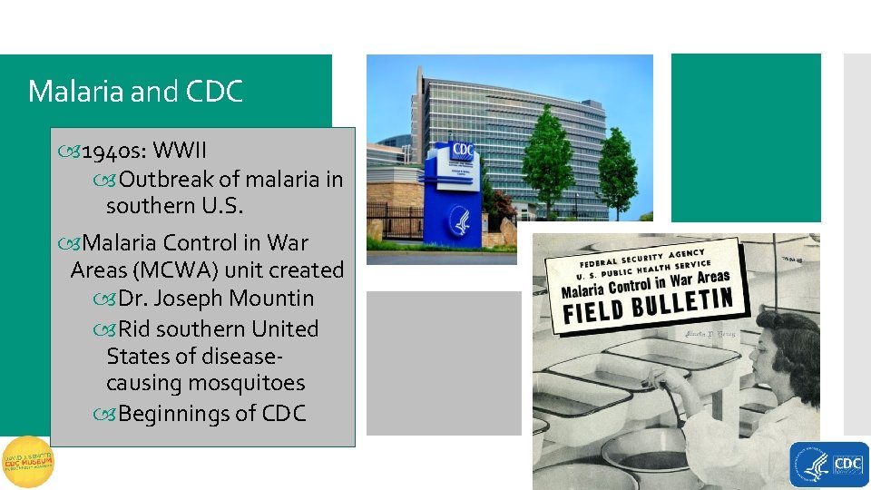 Trapping Mosquitoes Word Bank infectious disease public health