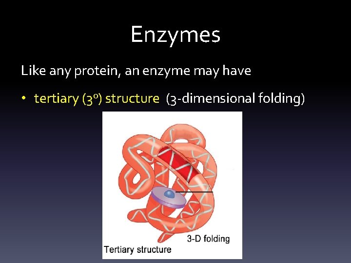 Enzymes and Enzymatic Reactions Introduction Enzymes Catalyst a