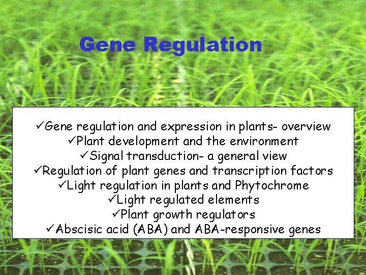 Gene Regulation Gene regulation and expression in plants