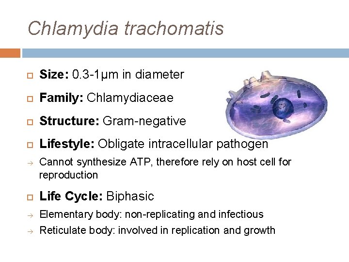 CASE 2 THE MICROBIOLOGY LABORATORY Ashley Wang Feb