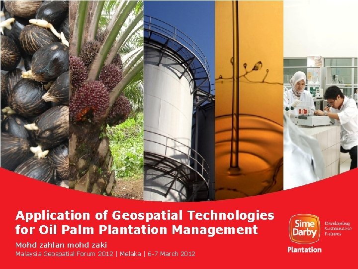 Application of Geospatial Technologies for Oil Palm Plantation