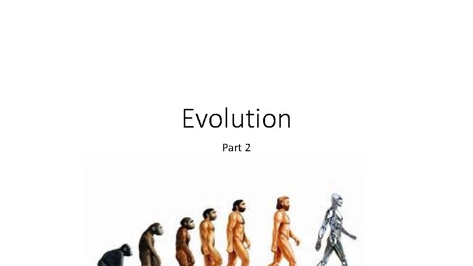 Evolution Part 2 Scientific theory Correct meaning of