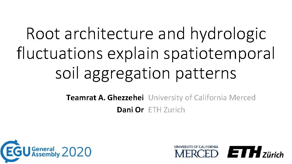 Root architecture and hydrologic fluctuations explain spatiotemporal soil