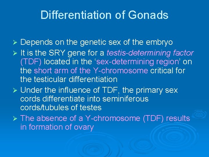 Development of Genital System Ovaries Fallopian tubes uterus