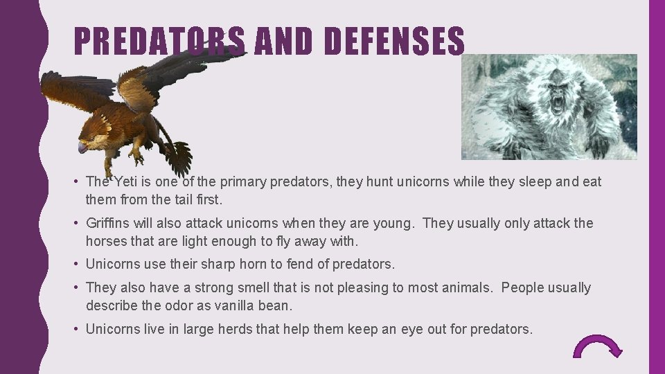 UNICORNS BY MR WHITE PD 1 TAXONOMY Kingdom