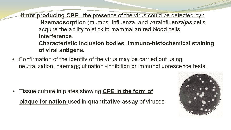 GENERAL VIROLOGY DIAGNOSIS AND MANAGEMENT OF VIRAL INFECTION