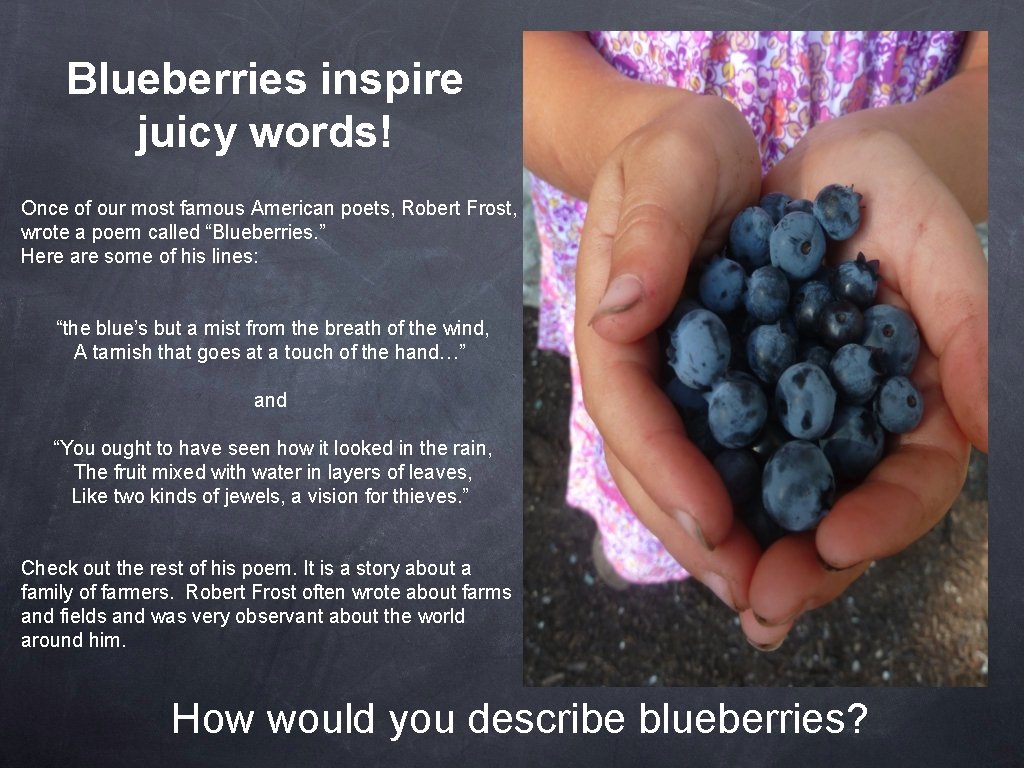 Blueberries Blueberries in Washington State They have long