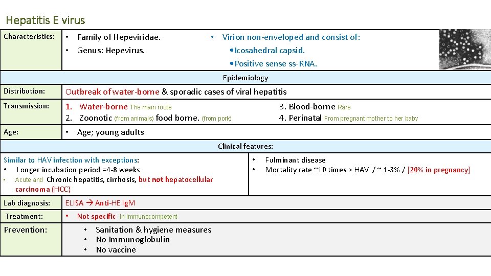 OBJECTIVES Know the classification of viruses causing hepatitis