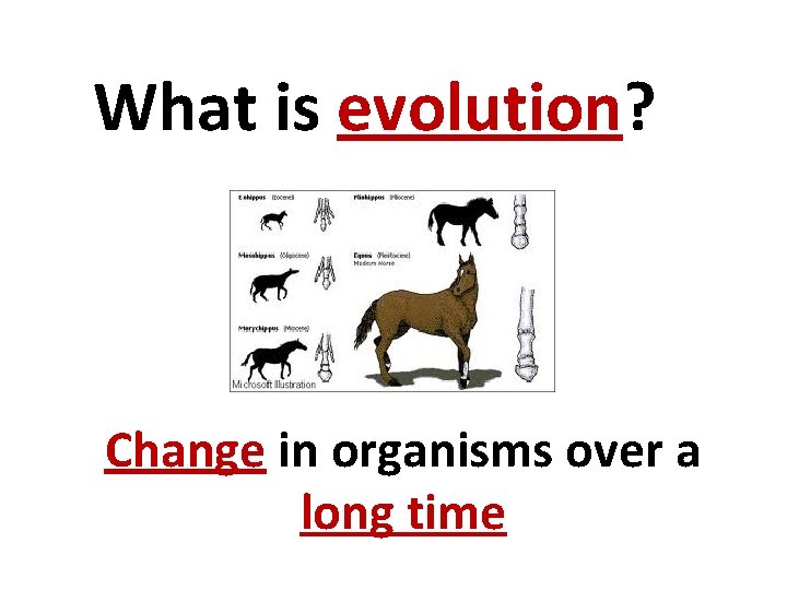 What is evolution Change in organisms over a