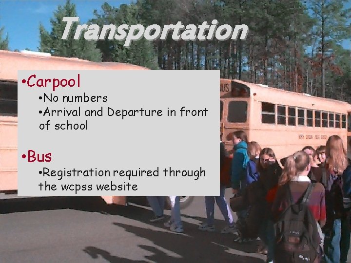 Holly Grove Middle School Home of the Bulldogs