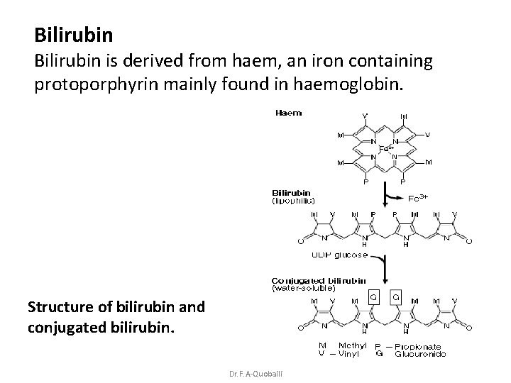 Cli Bio Lect 12 Liver function tests Dr