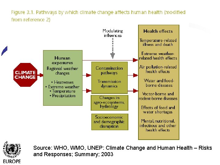 Climate change and health Dr Bettina Menne WHO