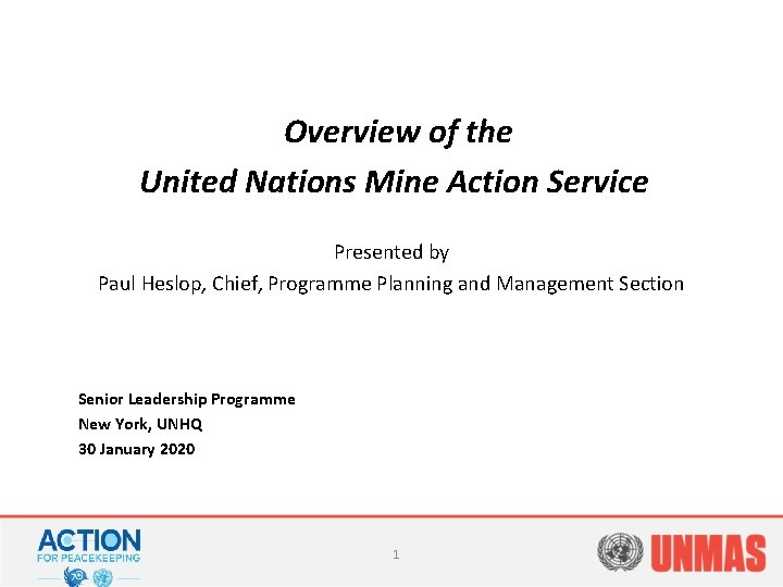 Overview of the United Nations Mine Action Service