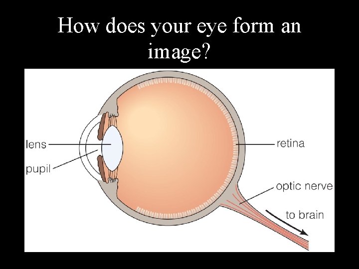 Telescopes Astronomers Eyes Dr Brian Uzpen Guest Speaker