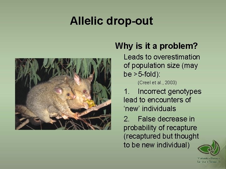 Improving accuracy of DNAbased methods for population estimation