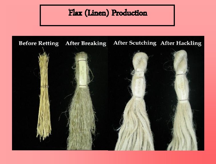1 Textiles Term used to refer to fibers