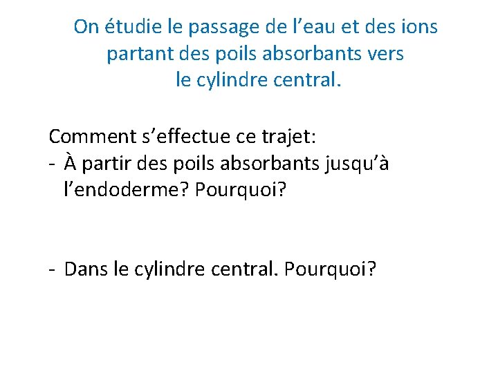 CIRCULATION DE LA SEVE On tudie le passage