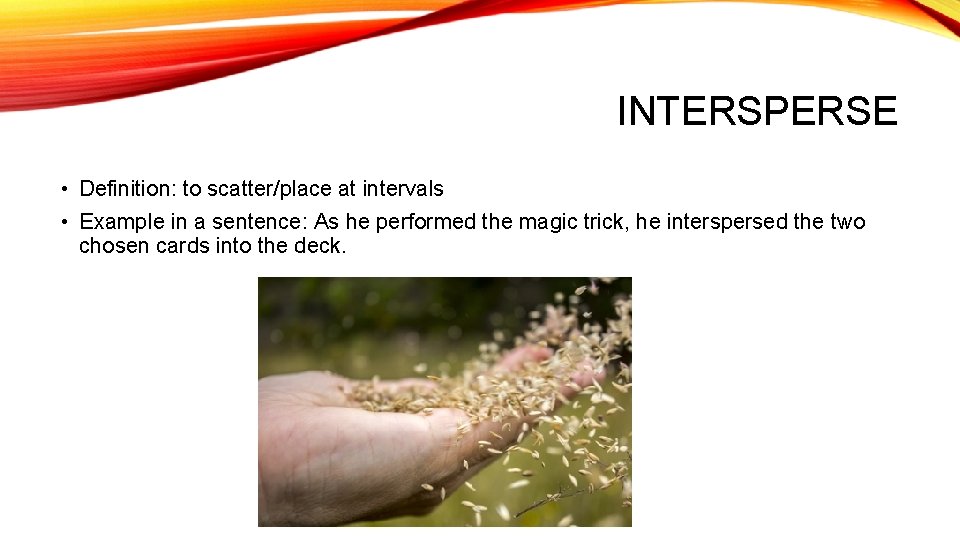 WEEKLY VOCABULARY AND GRAMMAR FINAL WEEK ROOT ONE