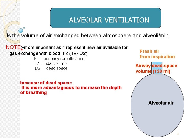 Respiratory physiology Pulmonary Ventilation DR QAZI IMTIAZ RASOOL