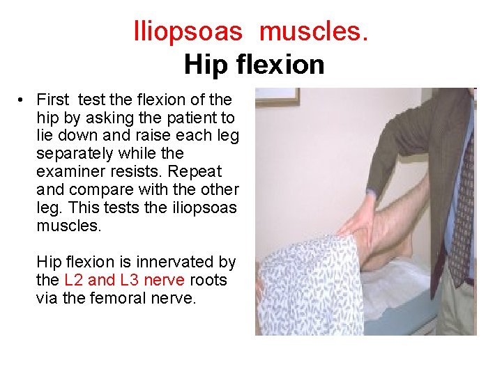 Spine fracture Anatomy of The Low Back Cont