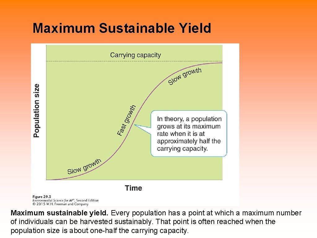 Ch 10 Land Use Human land use affects
