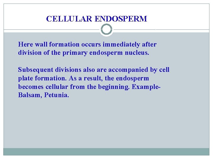 ENDOSPERM TYPES Dr M BASTIN Assistant Professor Dept