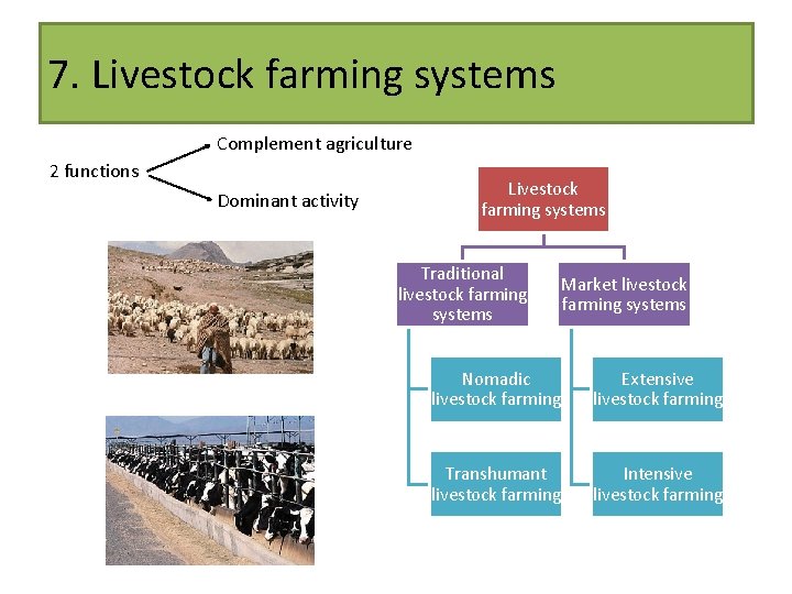 Unit 6 Primary sector activities 1 Agriculture Primary