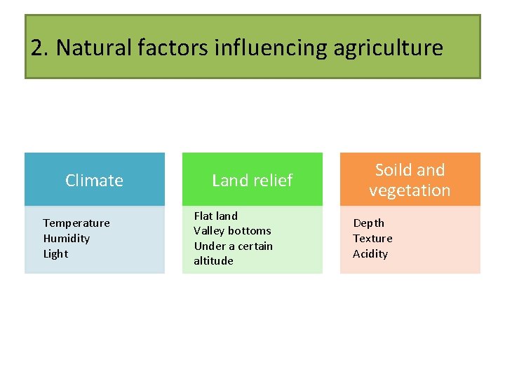Unit 6 Primary sector activities 1 Agriculture Primary