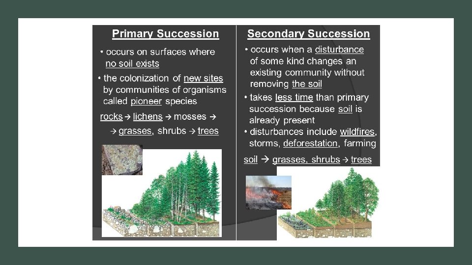 Ecological Succession Spring 2018 Mt St Helens Community