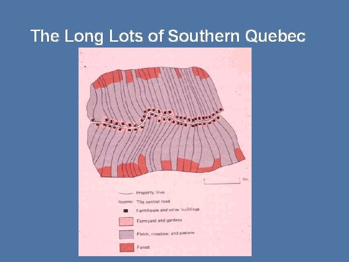 Rural vs Urban Settlement and Land Use January