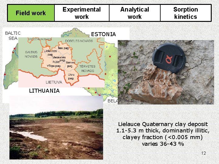 MODIFIED CLAY SORBENTS FOR WASTEWATER TREATMENT AND IMMOBILIZATION