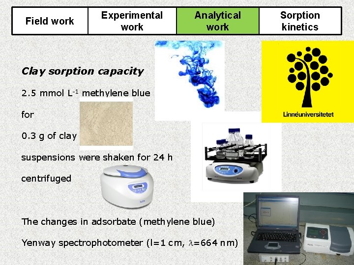 MODIFIED CLAY SORBENTS FOR WASTEWATER TREATMENT AND IMMOBILIZATION
