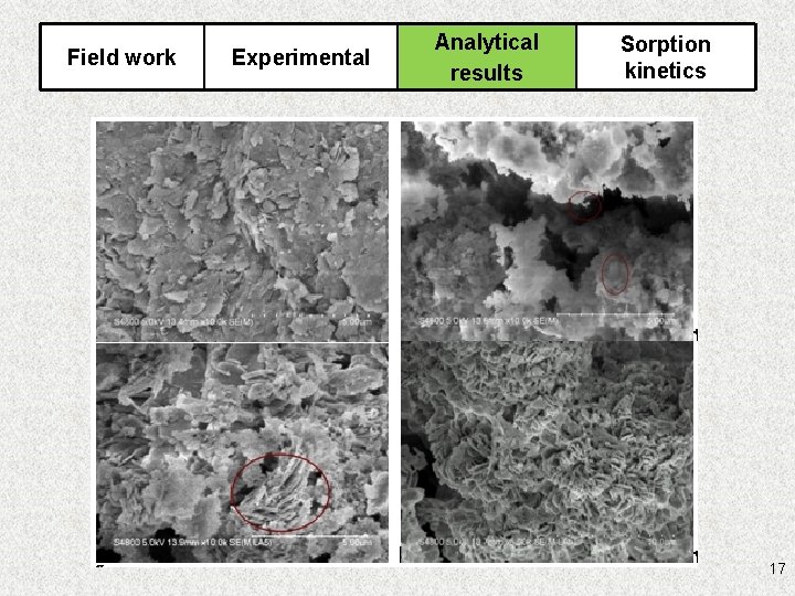 MODIFIED CLAY SORBENTS FOR WASTEWATER TREATMENT AND IMMOBILIZATION