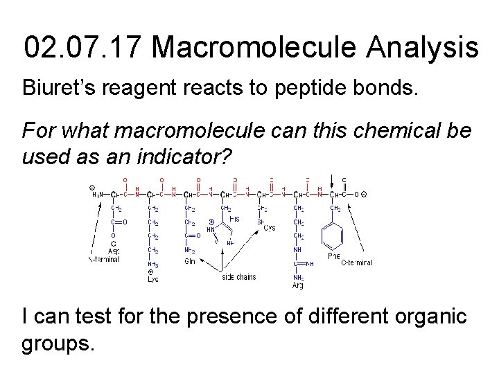 02 07 17 Macromolecule Analysis Biurets reagent reacts