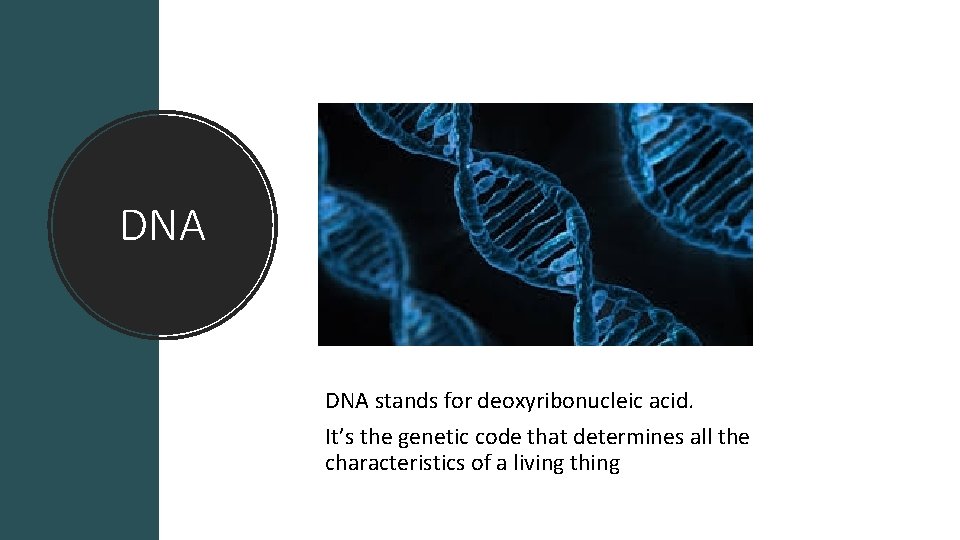 Unit 4 Genetics Section 1 Vocabulary Access Biology