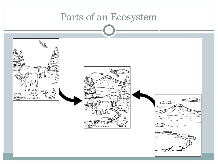 Ecology CH 3 AND 4 Ecology The interaction