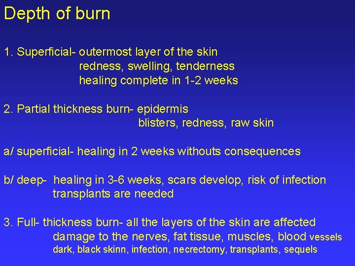 Burns Z Rozkydal Epidermis Dermis blood vessels nerves