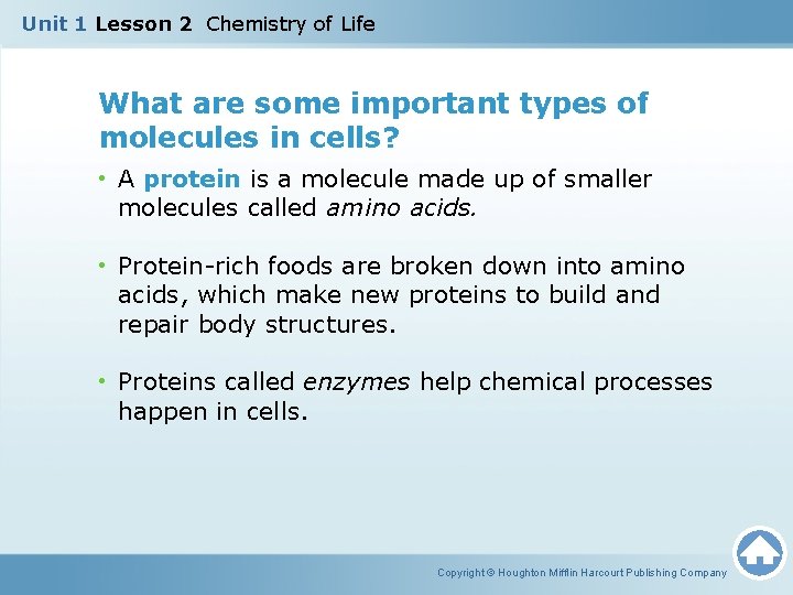 Unit 1 Lesson 2 Chemistry of Life Essential