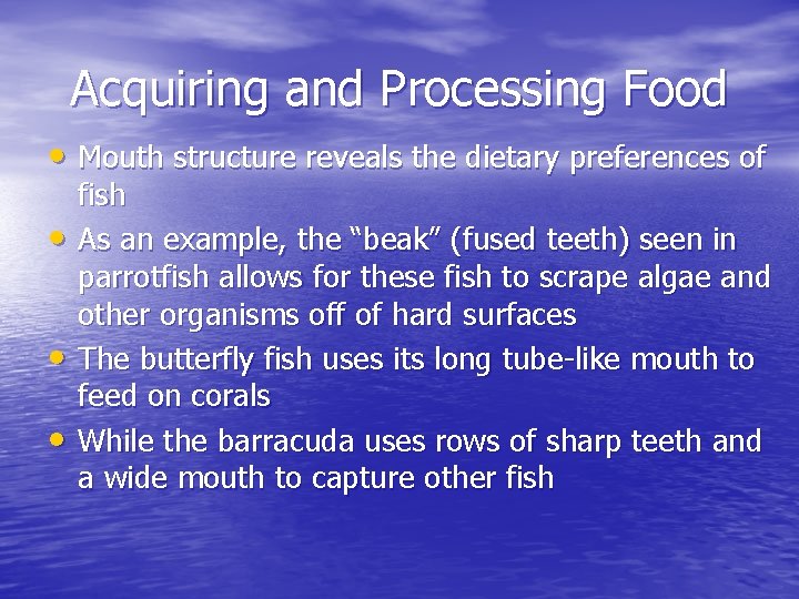 Chapter 8 Marine Fishes Classification of Fishes Marine