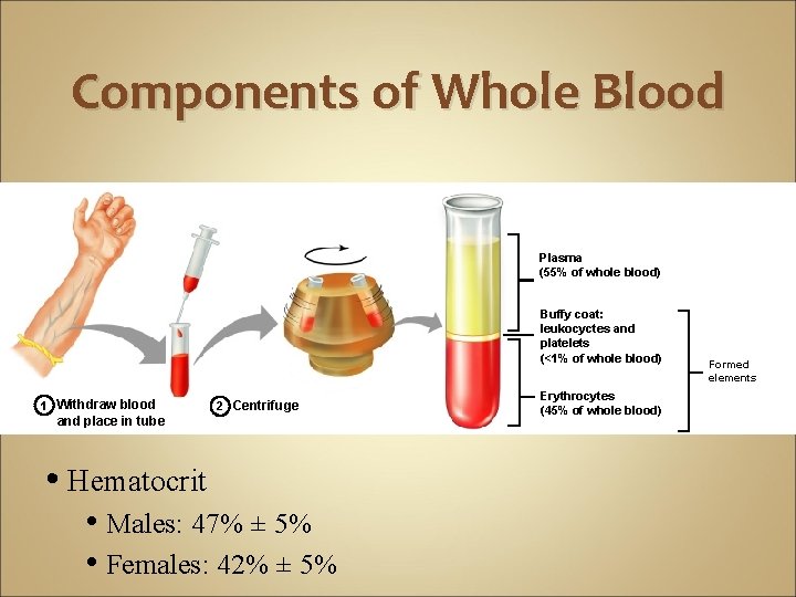 COMPOSITION AND FUNCTION OF BLOOD Composition of Blood