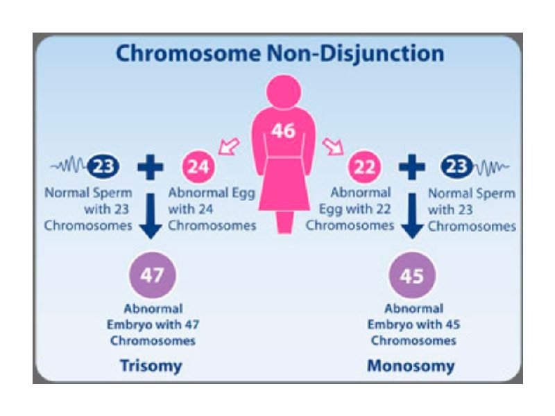 Human Genetics EQ How can genetic patterns be