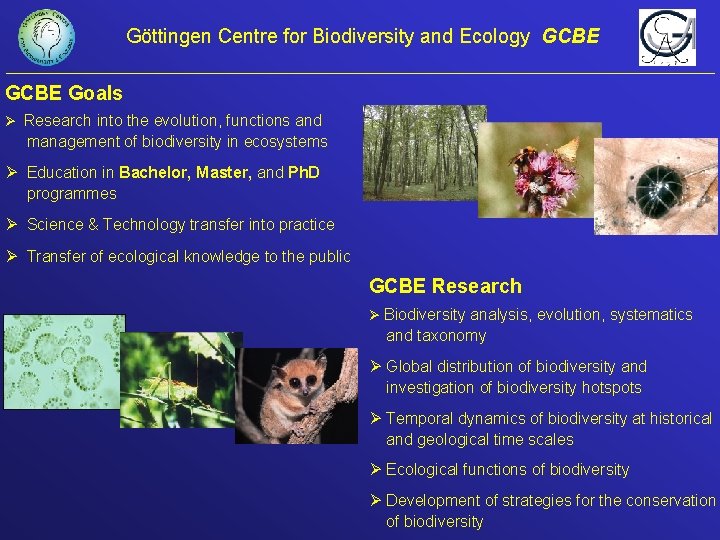 Gttingen Centre for Biodiversity and Ecology GCBE GeorgAugustUniversity