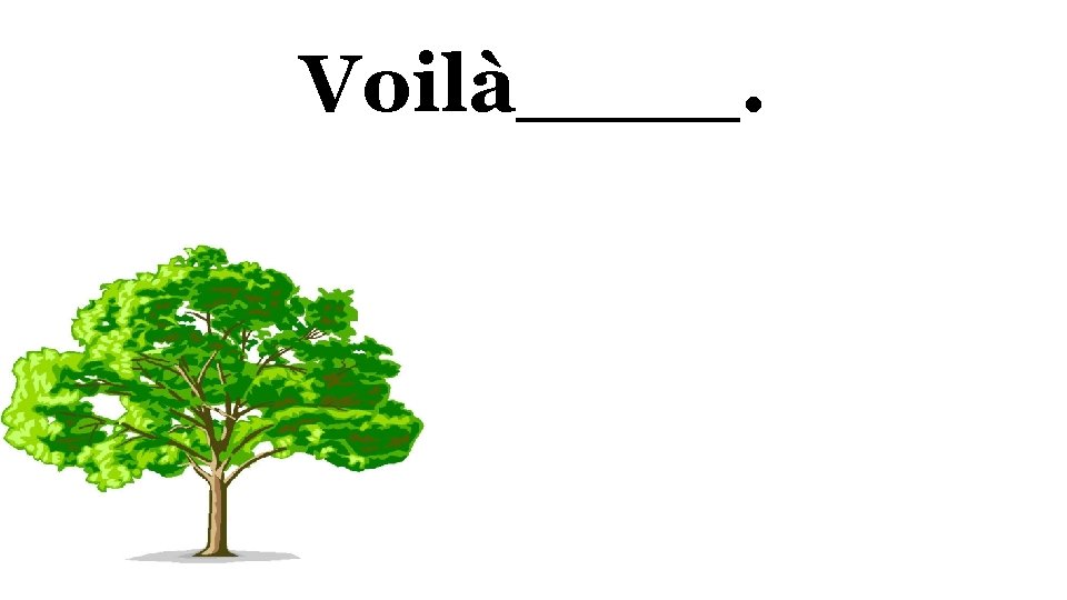 Chapitre 3 Leon 2 Le vocabulaire Le beaupre